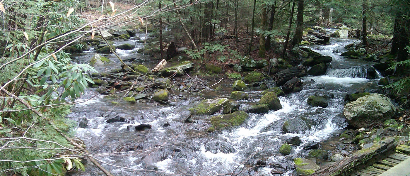 County, State and National Parks | Trailkeeper.org | Hiking in New York ...